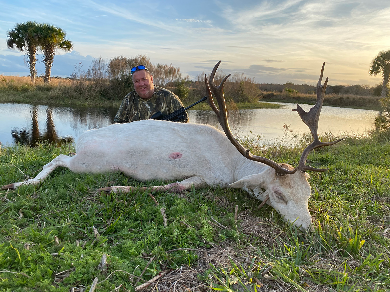 Fallow Deer Hunting in Okeechobee, FL - Florida Hunting, Fishing ...