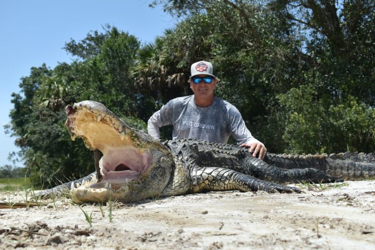 Targeting big Florida Alligators - Florida Hunting, Fishing Outdoor ...